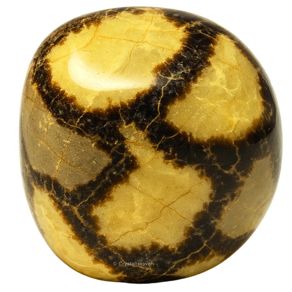 Tumbled Septarian Stones - Premium Polished Tumbled Crystals